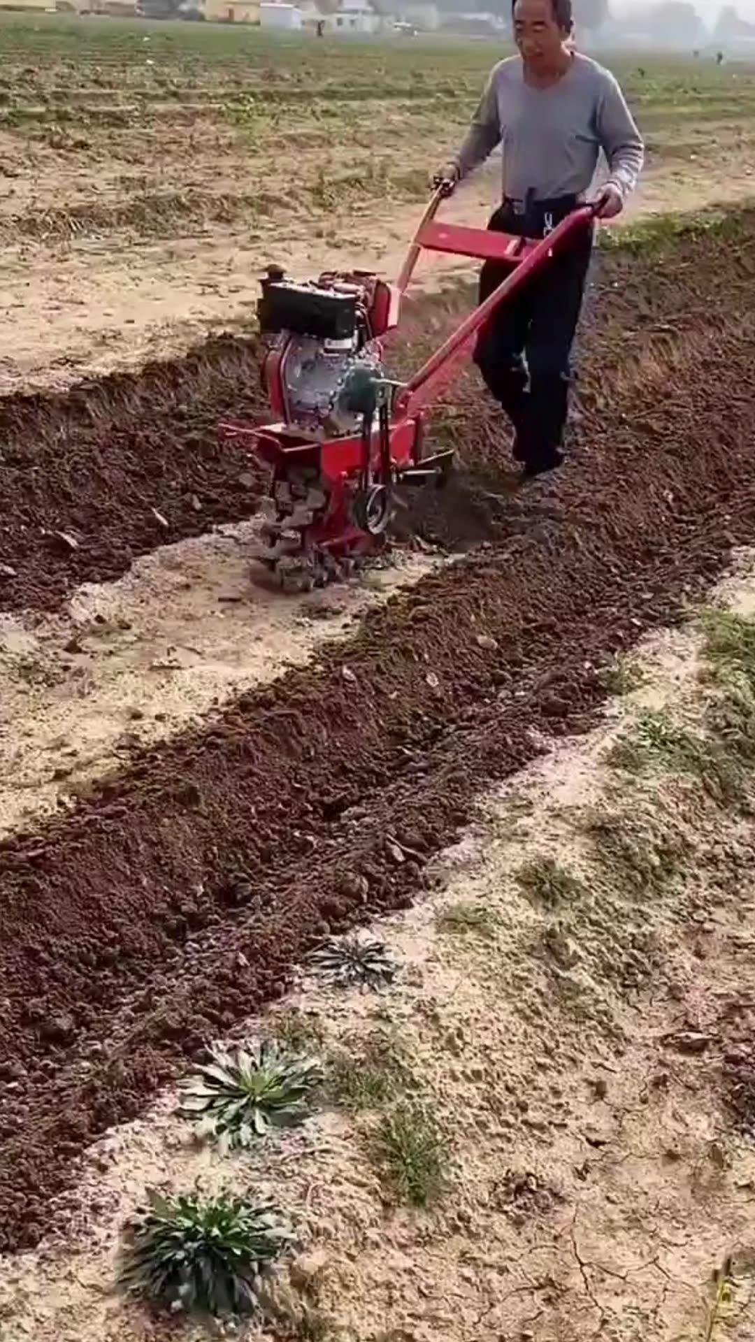 Multifunctional Tiller Cultivator Tractor Mini Tiller Walking Tractors ...