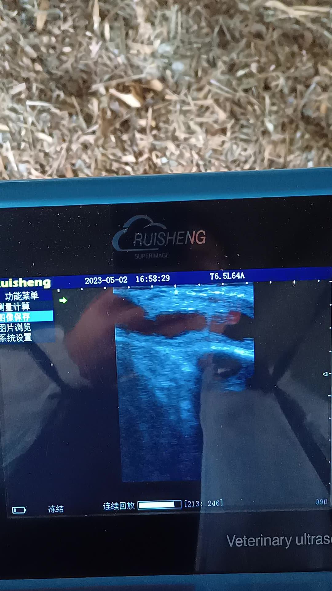 Veterinary Abdominal Cattle Back Fat Ultrasonido Vet Ultrasound Dawei ...