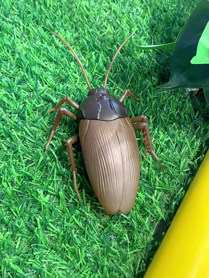 Kids Toys 2024 Rc Infrared Remote Control Beetle Insect Toy For Kids ...