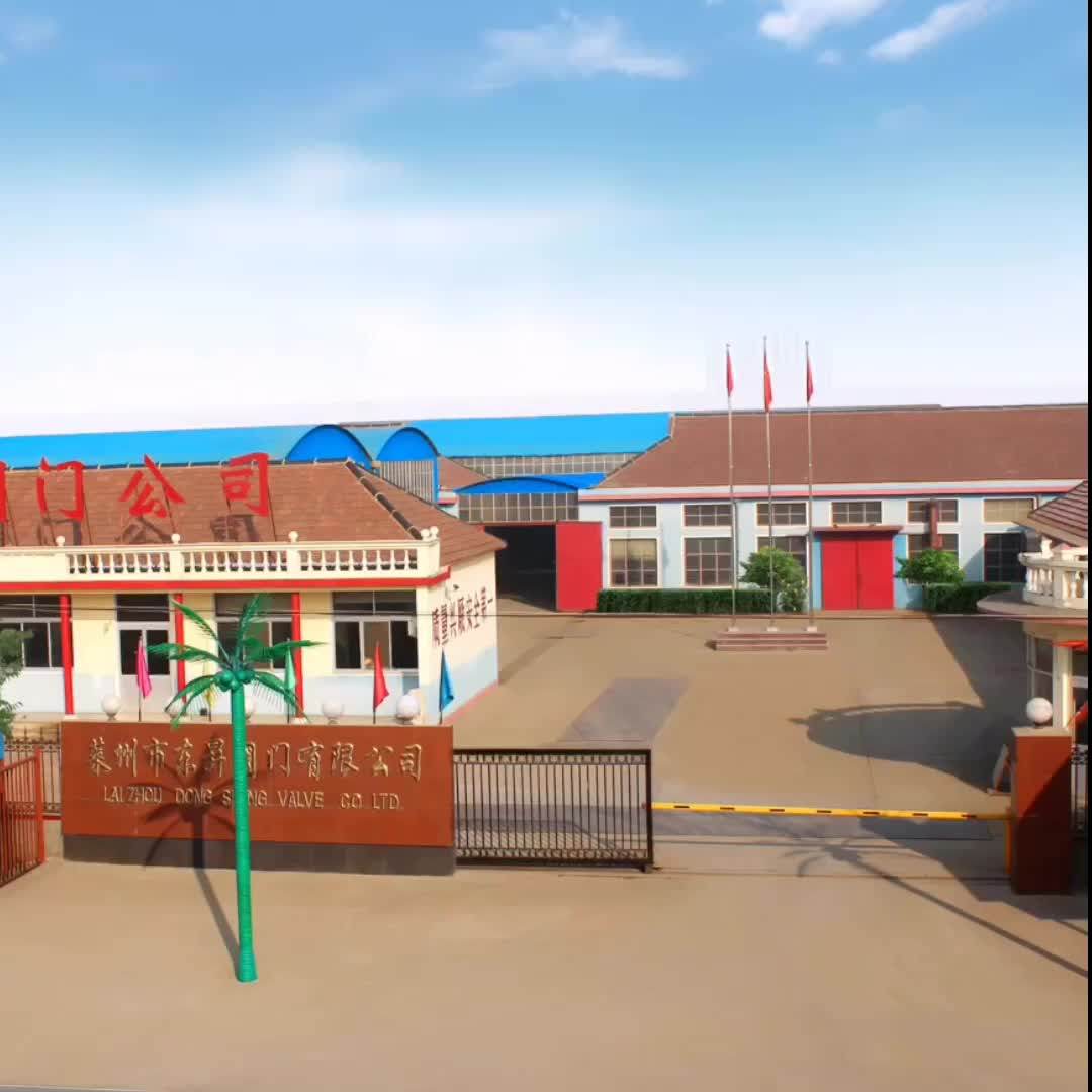 Dsv Single Disc Wafer Type Spring Loaded Check Valve (spring) - Buy ...