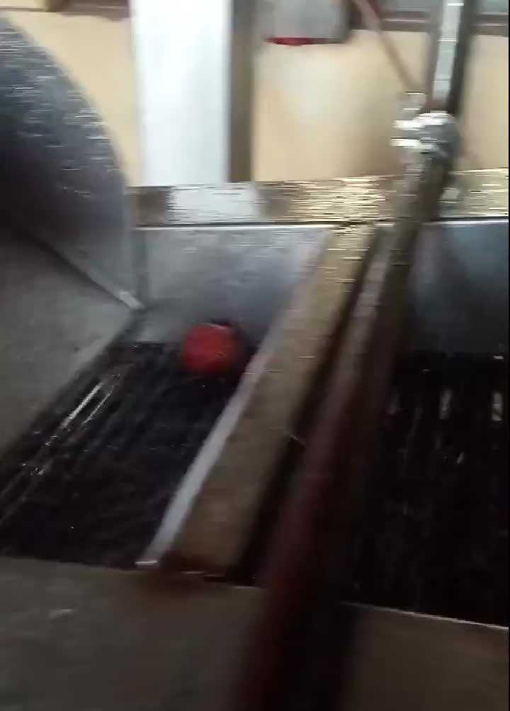 Stainless Steel Industrial Tomato Peeling Machine Canned Tomato ...