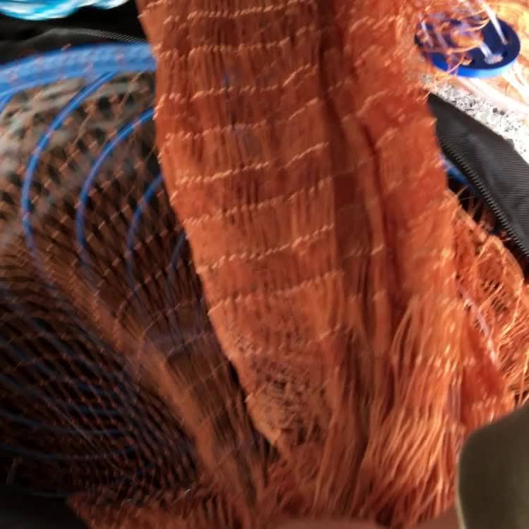 Net/large Nets Plastic Net/green Pe Fishing Nets Plastic Woven Bag Or ...