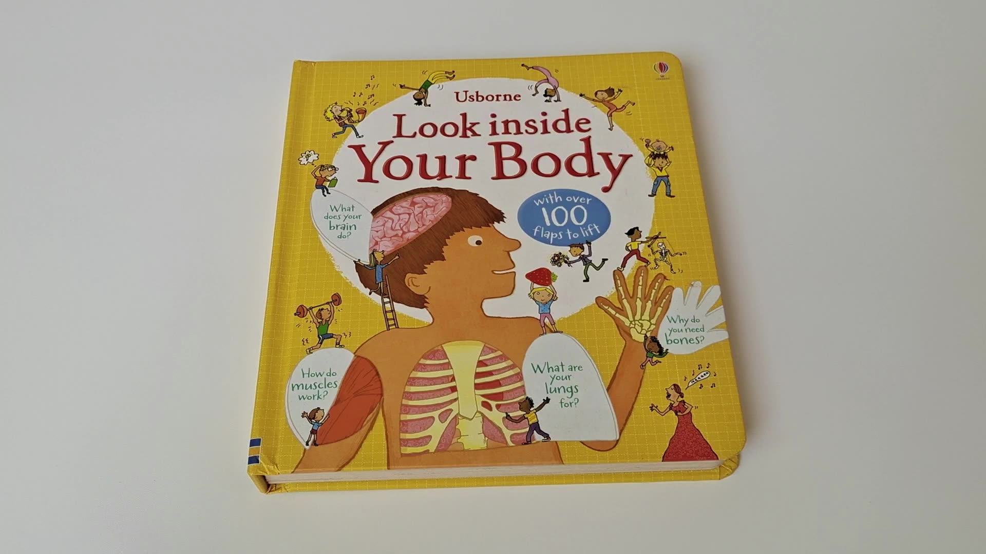 Factory Custom Pop Up Children Cardboard Lift The Flap Book Printing ...