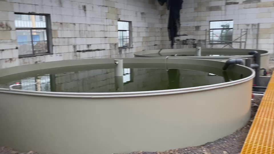 Ras Lobster Shrimp Tilapia Farm Indoor Recirculating Aquaculture System ...