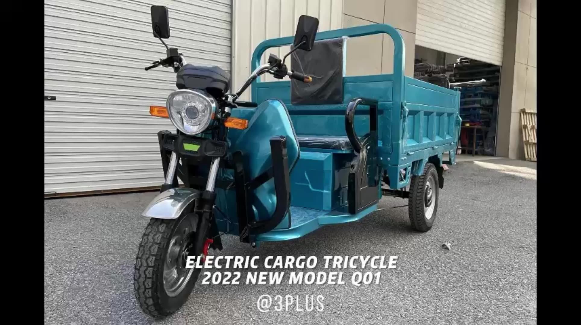 Electric Tricycles 3 Wheel Electric Cargo Bike Back Box Equipped ...