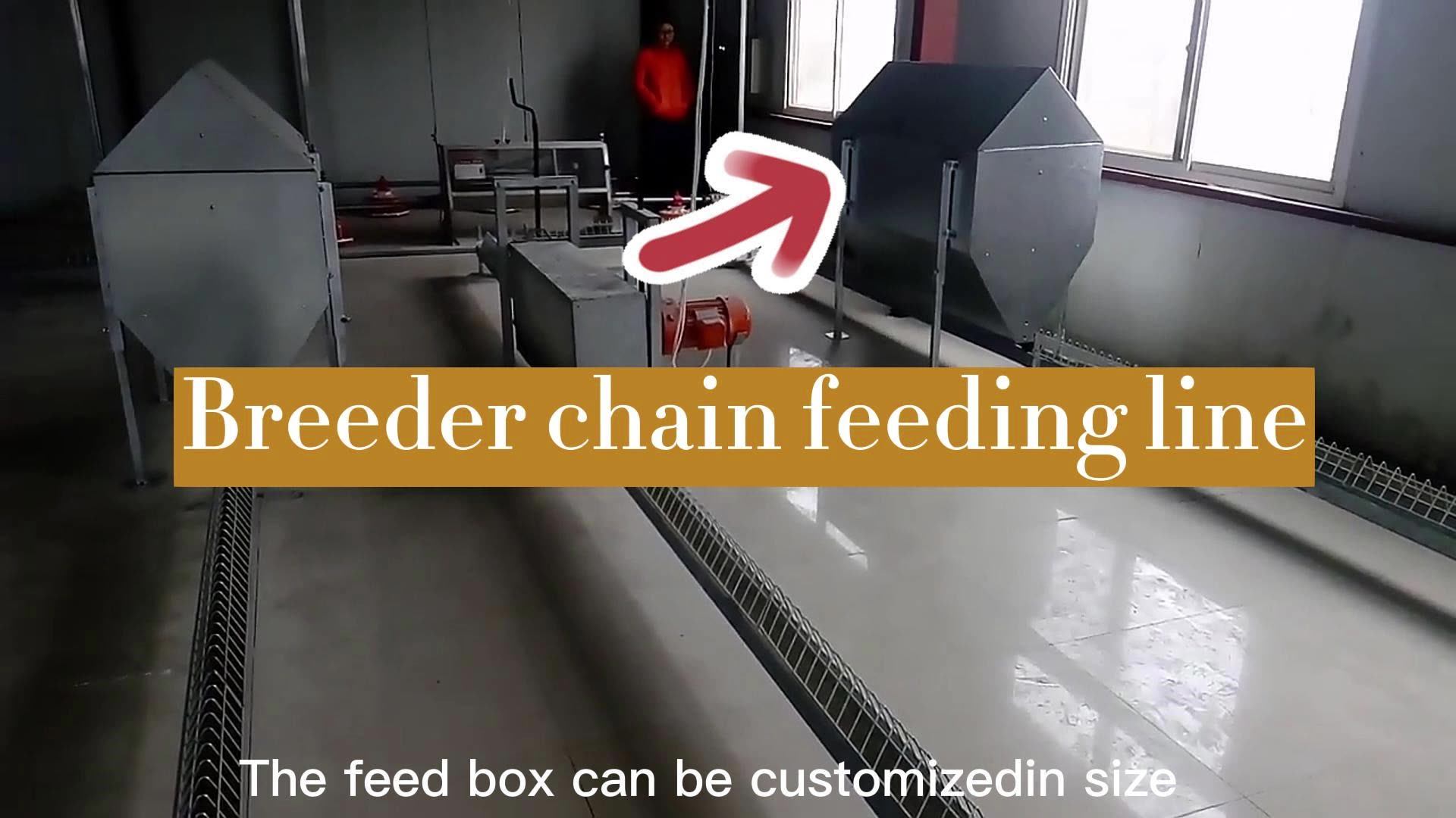High Quality Breed Chain Rearing System Broiler Breeder Farm Equipment ...