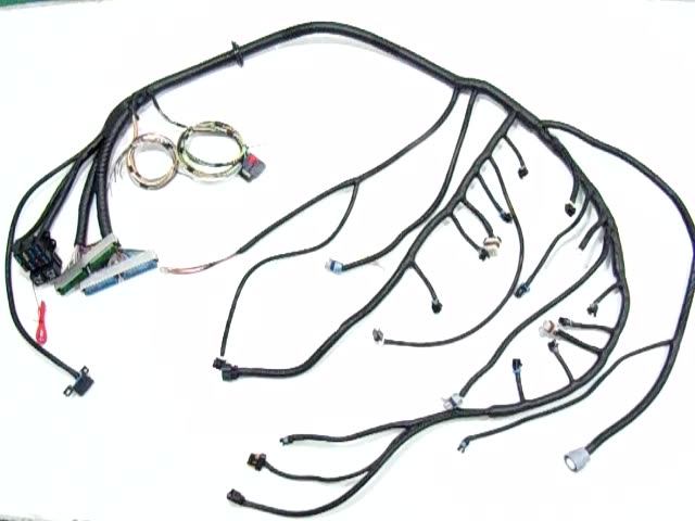 2 Way Transmission Speed Sensor Connector Wire Pigtail Fits All Late ...