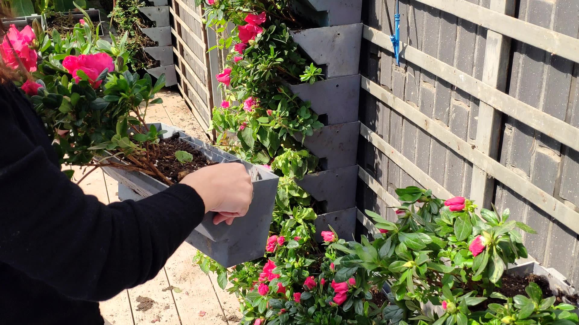 Vertical Garden Systems Green Wall Modules System Garden Planters Pots ...