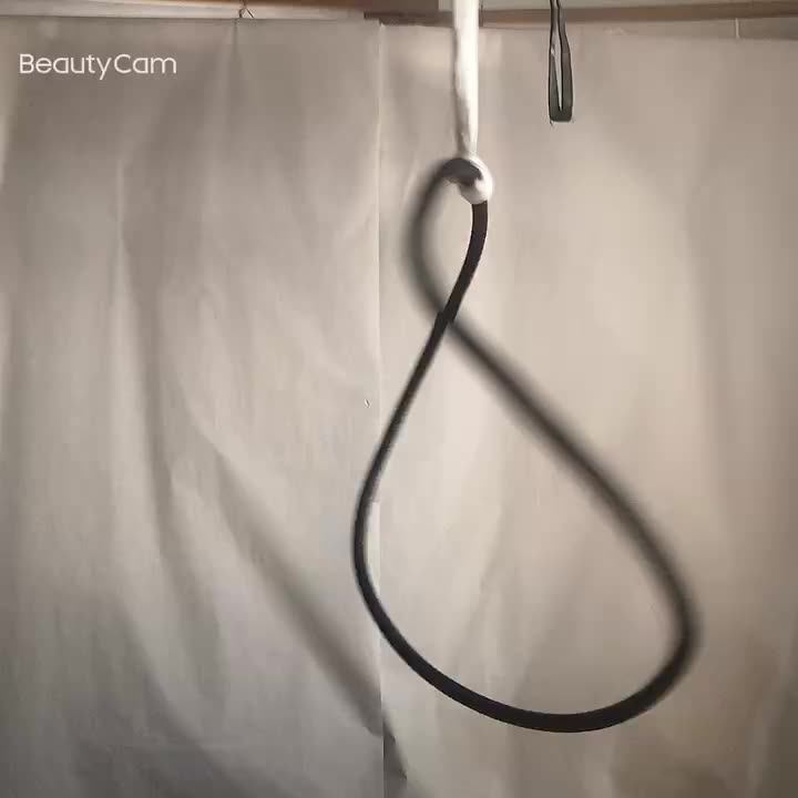 August Ferdinand Mobius Rings 3d Rings Figure 8 Ring Acrobatic Pole ...