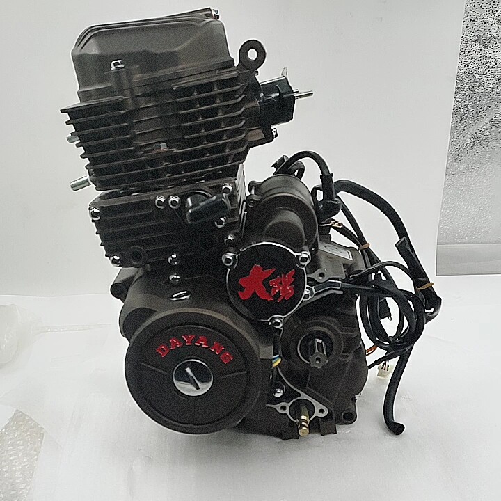 Dayang 300cc Motorcycle Engine Assembly: Electric/Kick Ignition, Water