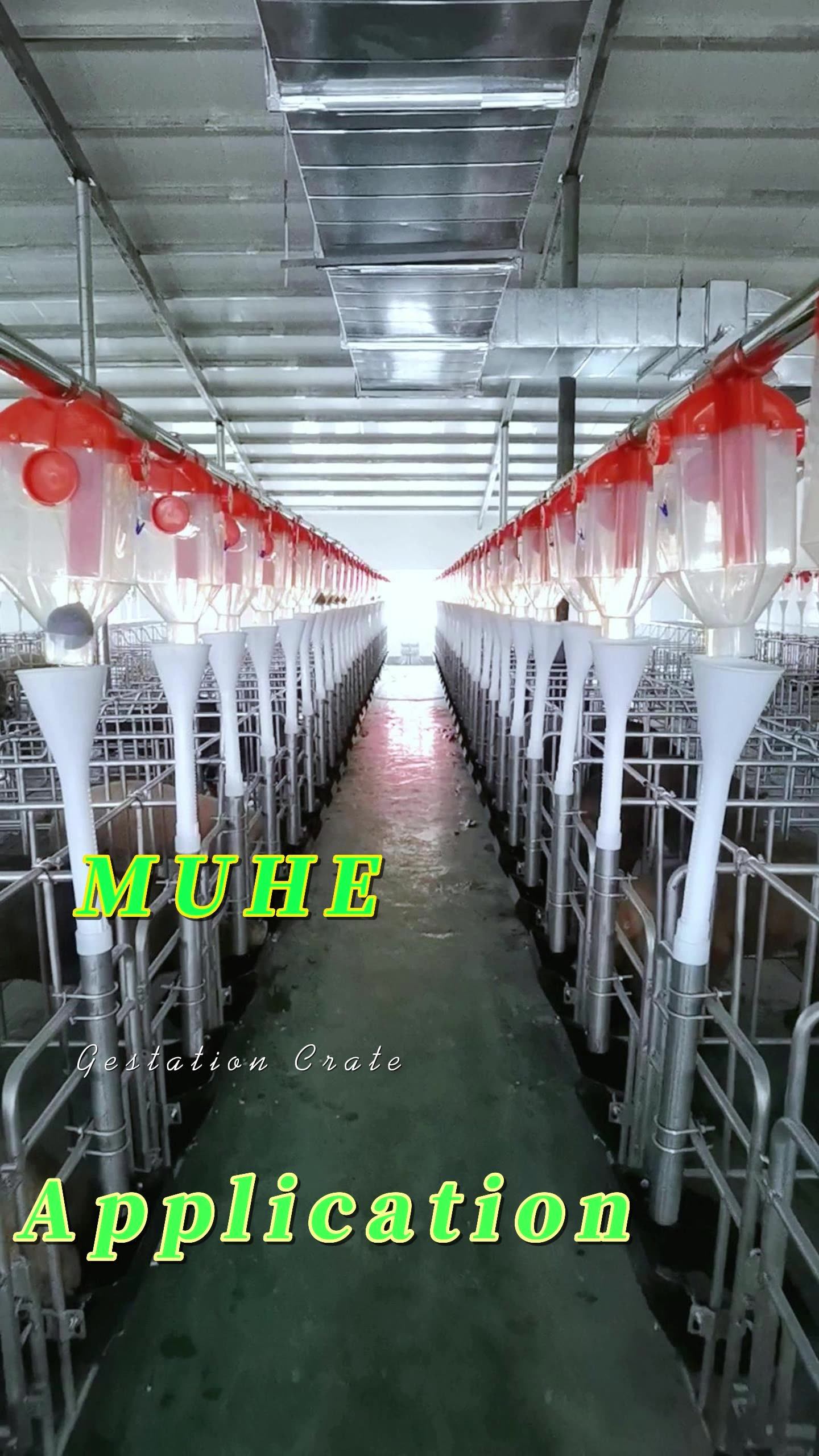 High Quality Gestation Crates Gestation Pen For Pigs Customized ...