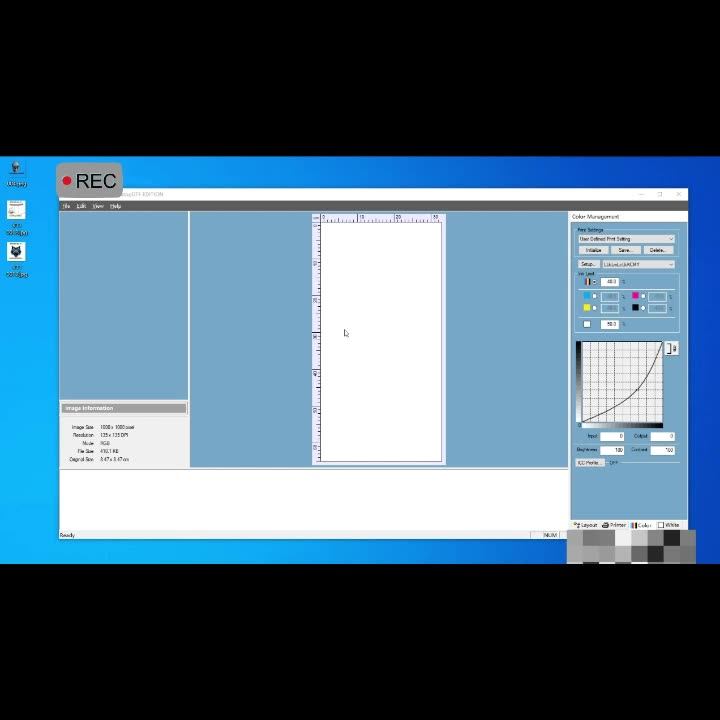 Dtf Rip Dtg Uv Software Ver 11 Desktop Edition Dongle Key For Epson ...