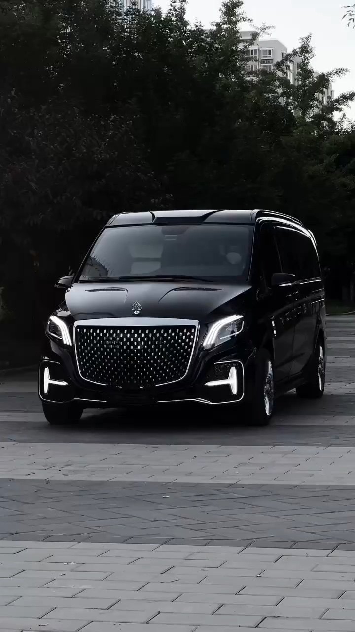 Electric Vip Luxury Auto Van Seat For Conversion Mpv Van Rv Sprinter ...