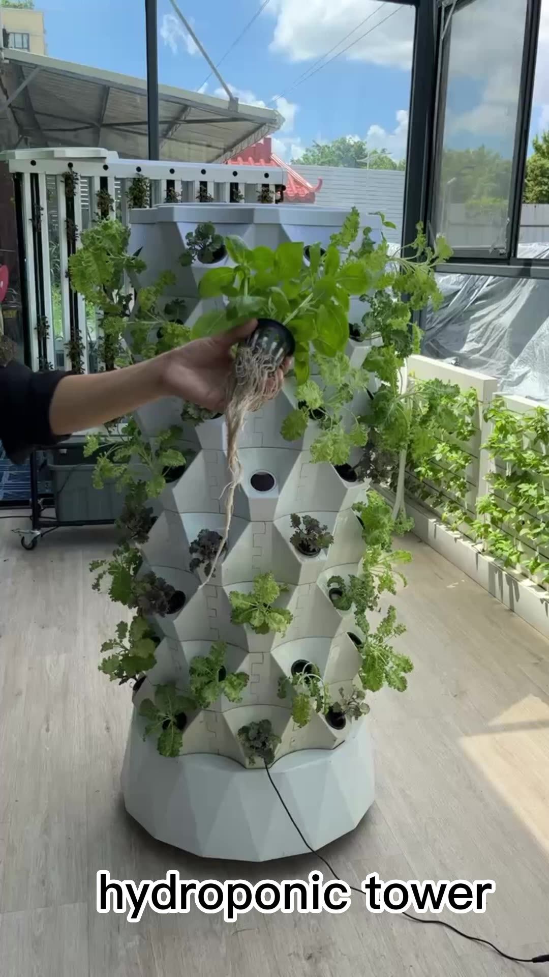 Garden Home Greenhouse Agricultural Aeroponic Pineapple Tower ...