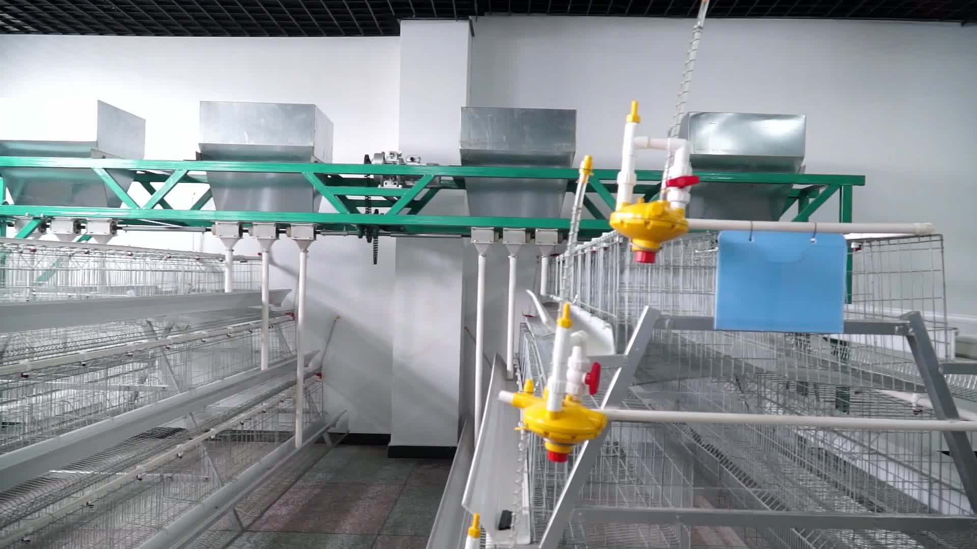 Automatic Cleaning Machine Pp Belt Manure Removal System For Chicken ...