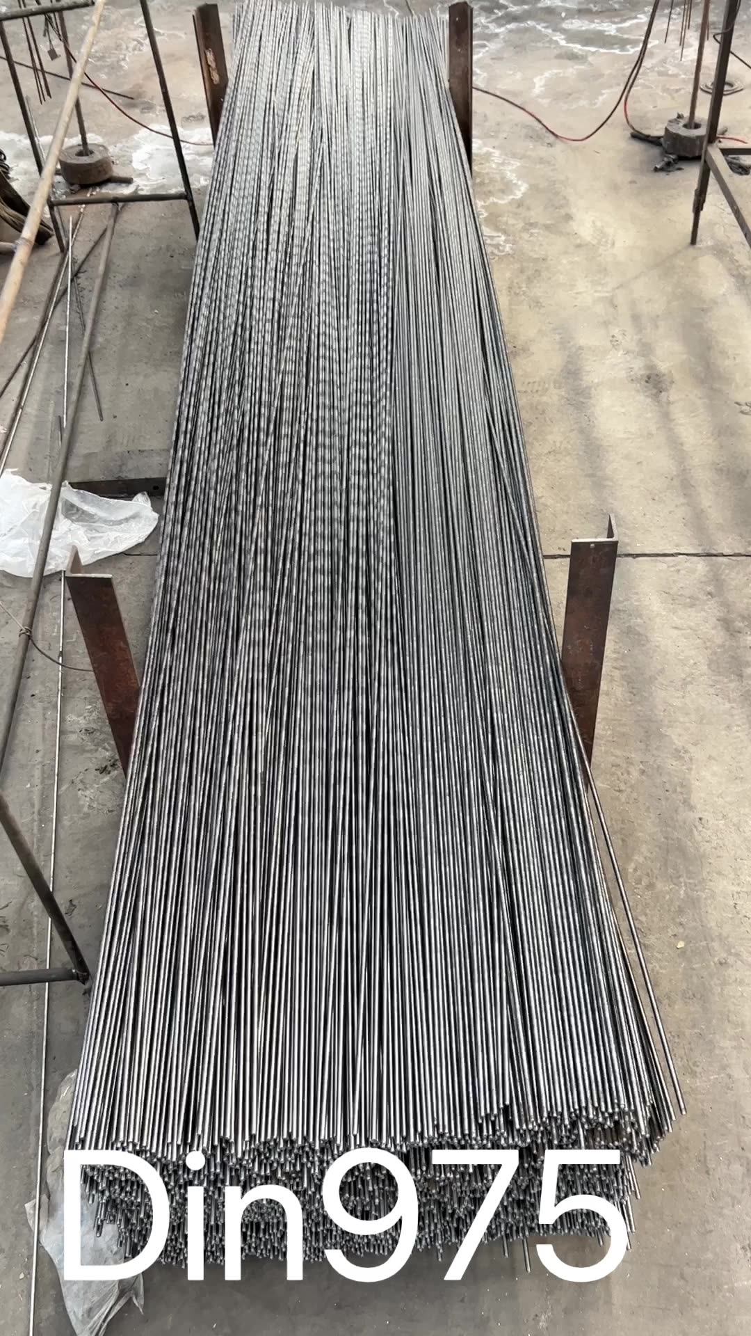 Din976 Threaded Rod Galvanized Din975m8 M10 M12 M20 M30 Full Thread ...