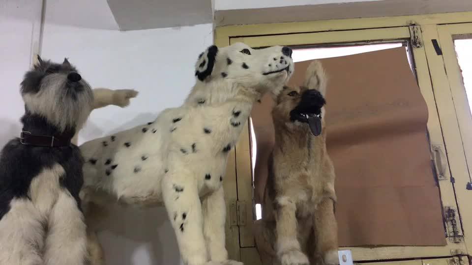 Life Size White Poodle Animal Mannequin Dog Mannequin For Window ...