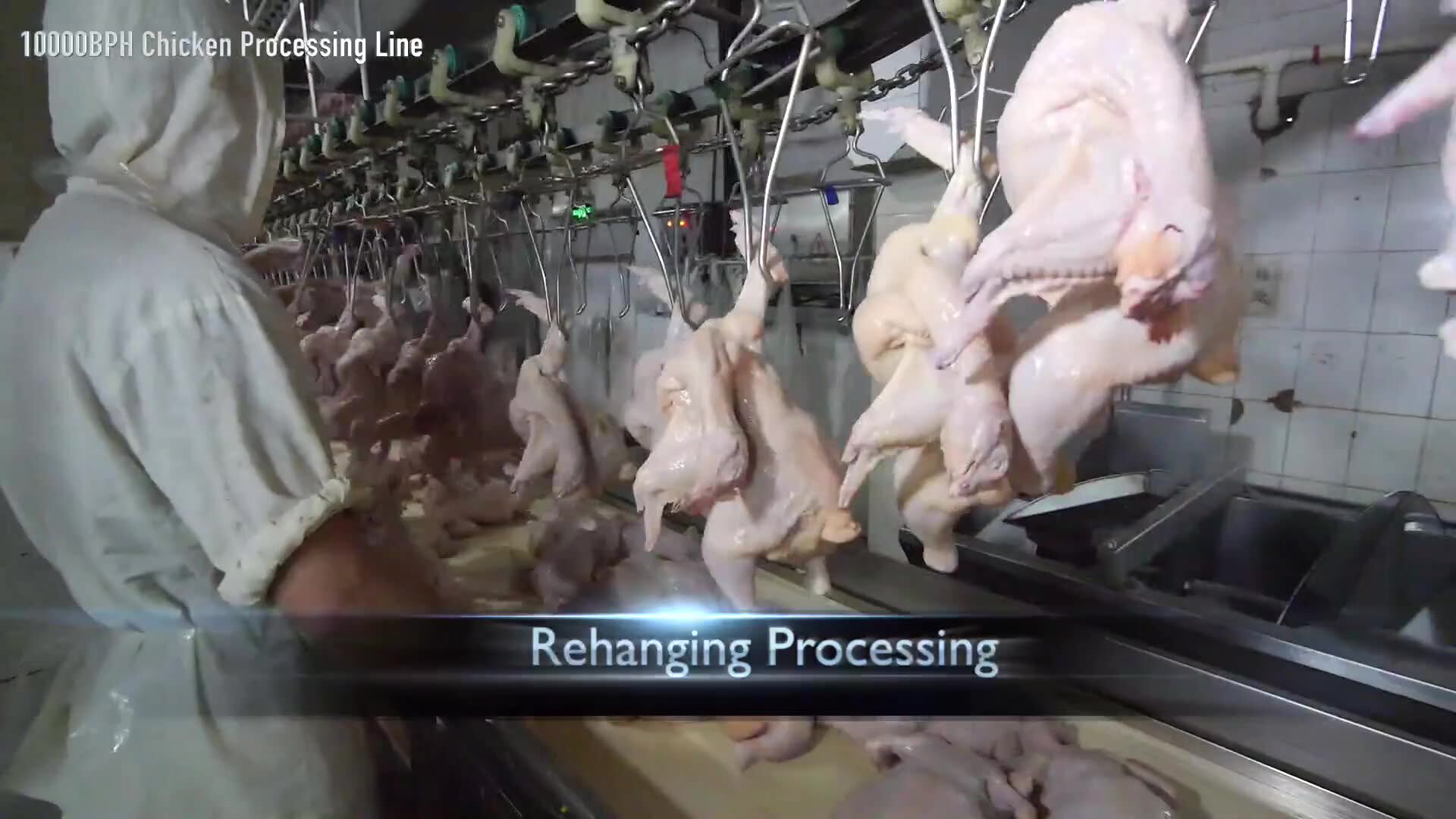 Turkey Slaughter House Equipment/turkey Slaughter House Machine - Buy ...