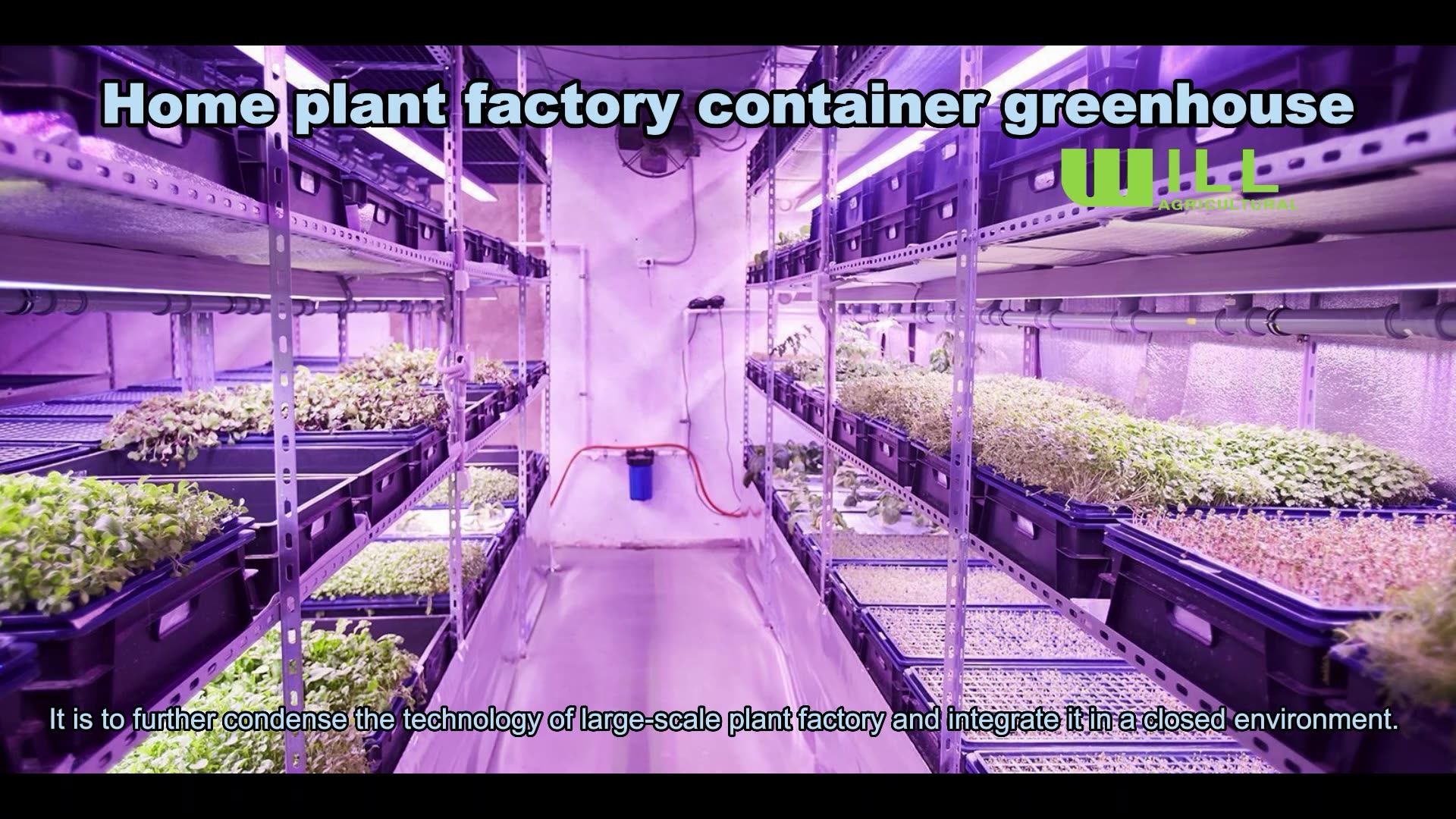 40ft 40hc Oyster Mushroom Shipping Container Greenhouse Price - Buy ...