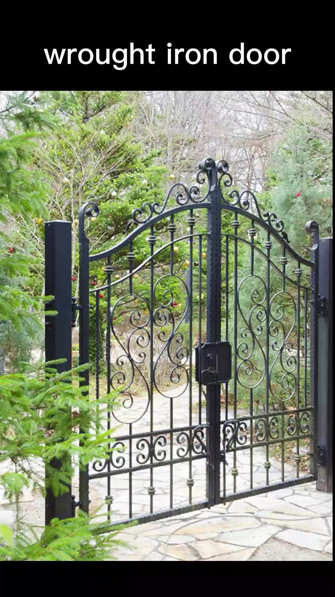 Wrought Iron Front Main Gate and Steel Iron Doors