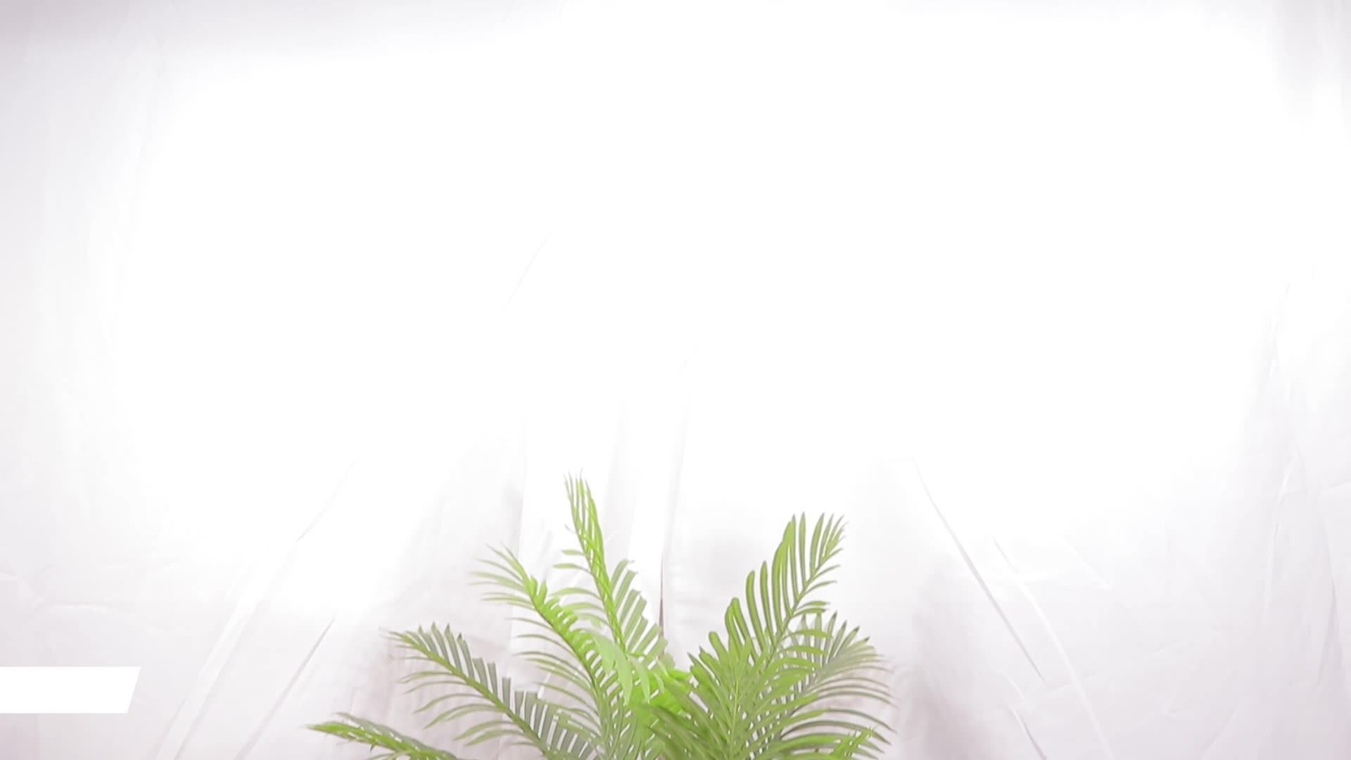 High Simulation Custom 260cm 8.5ft 2m 3m 3 Meters 7ft 7 Feet Height ...