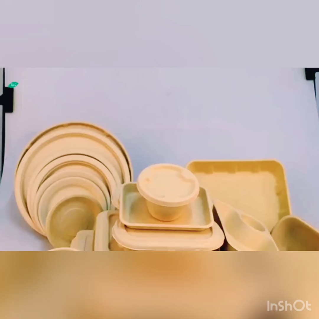 6 Inch Plate Disposable Round Biodegradable Bamboo Pulp Fast Cutlery ...