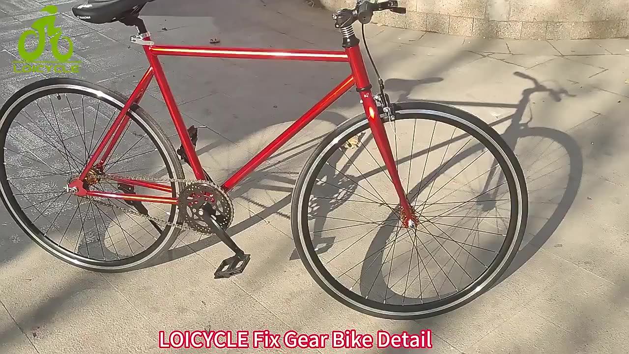 Customizable Fexie Bike Single Speed Affordable Fixed Gear 700c Cheap ...