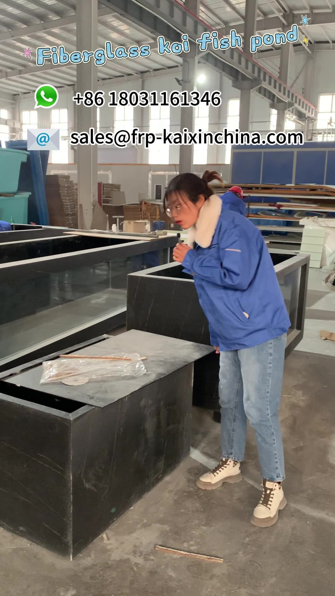 Indoor Fiberglass Mega Arapaima Gigas Pirarucu Tropical Tiger Live Fish ...