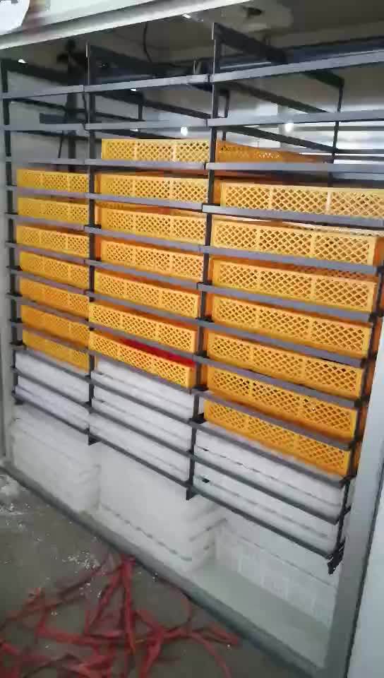 Commercial Automatic Chicken Egg Incubator Hatcher And Setter All In ...