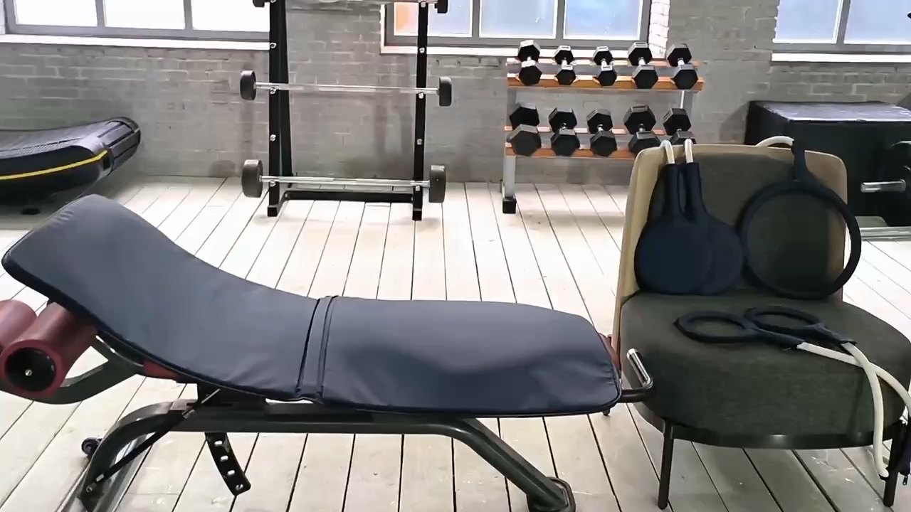 Pemf Loop Magnetic Therapy Machine Pemf Equine Pulsed Electromagnetic ...