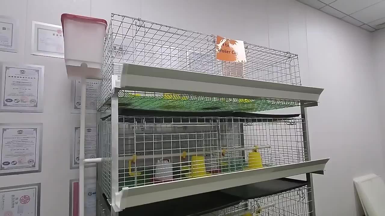 Broiler Chicken Cage Supplier Chicken Farming Poultry Broiler Battery ...
