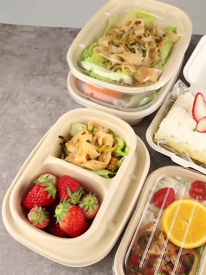 Container Pla Disposable Plastic Lunch Box Lear Disposable Clamshell ...