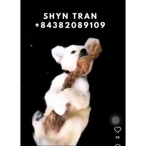 Wholesale Coconut Ball Chew Rope/ Dog Chew Toy From Coconut Husk ...