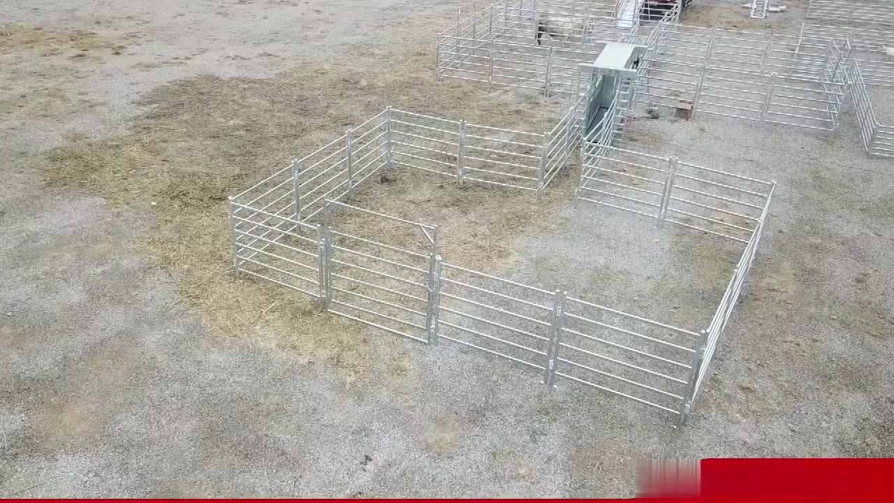 Xmi Sheep Panel Galvanized Portable Goat Yard Panel - Buy Sheep Panel ...