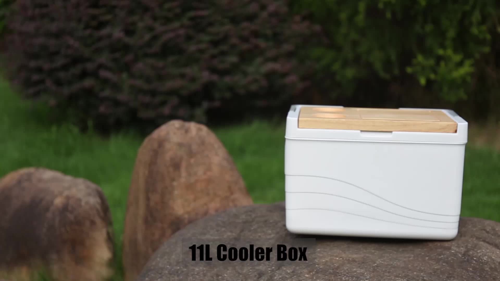 11l Ice Chest Cooler Box Picnic Lunch Food Cooler Hard Cooler Box ...