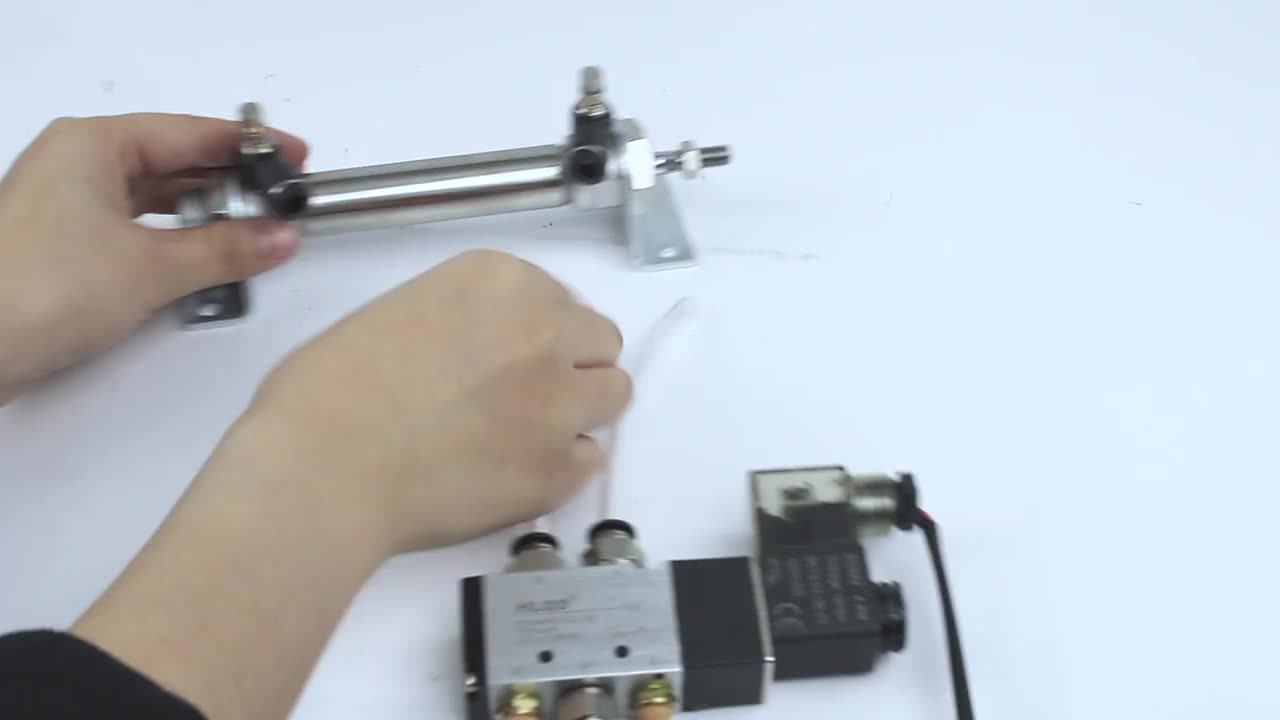 Cmsg/cmsh/cmsj/dmsj/dmsg/dmsh-020-2w Proximity Reed Switch Magnetic Pneumatic Cylinder Sensor ...