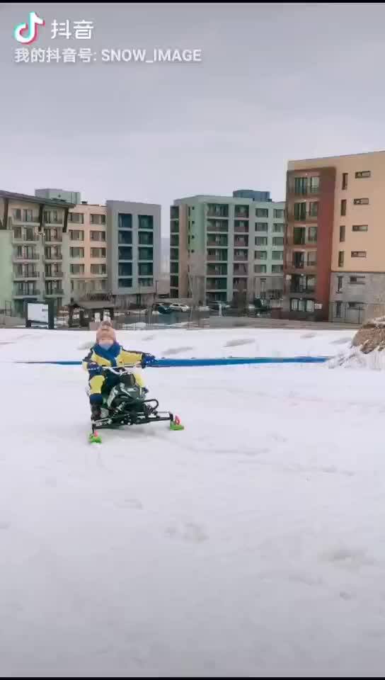 Sopop 800W/48V Electric Winter Sledge Snow Racer Snow Snowmobile ...