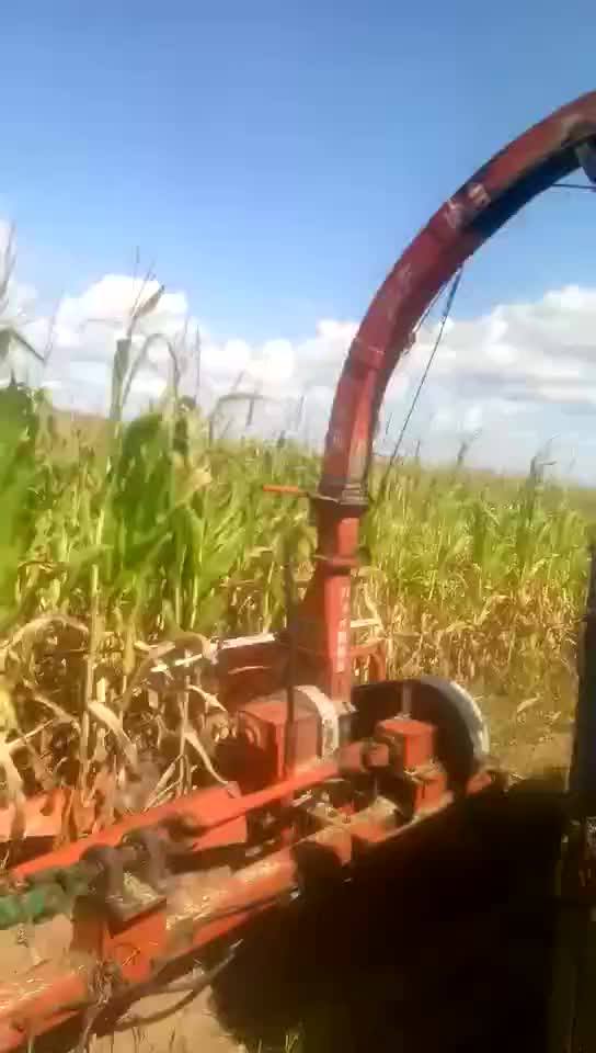 Tractor Mounted Driven Corn Silage Forage Harvester Pto Chopper Corn ...
