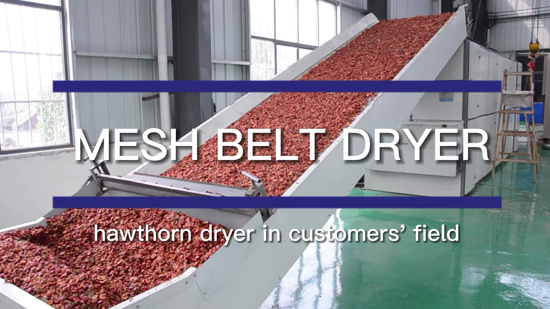 Electric Heating Roller Dry Curcuma Prawns Tobacco Leaves Dryer Hot ...