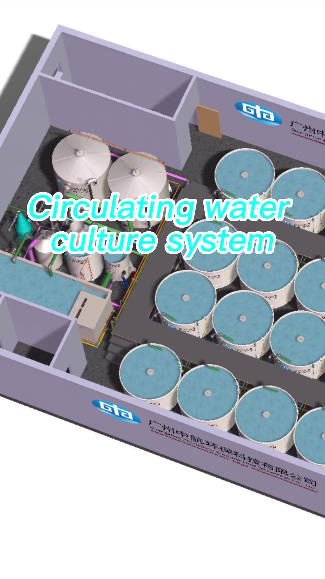 Indoor Recirculating Aquaculture System Salmon Fish Farm Setting Up A ...