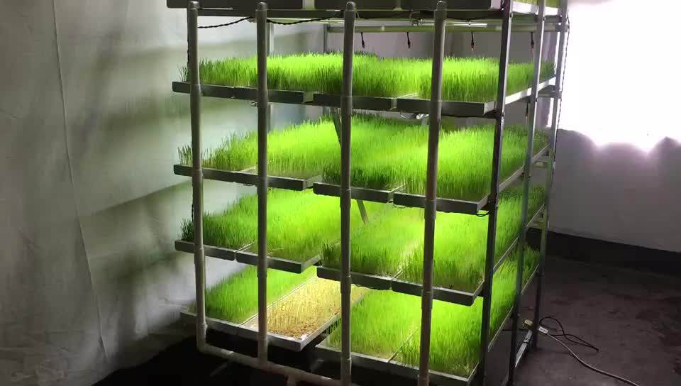 2018 High Yield Hydroponics Pvc Fodder Grow System For Barley Wheat ...