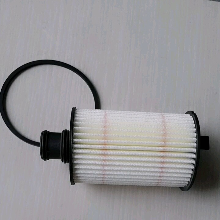5.0l V8 Oil Filter Lr011279 C2d3670 For Land Rover For Discovery 3 For ...