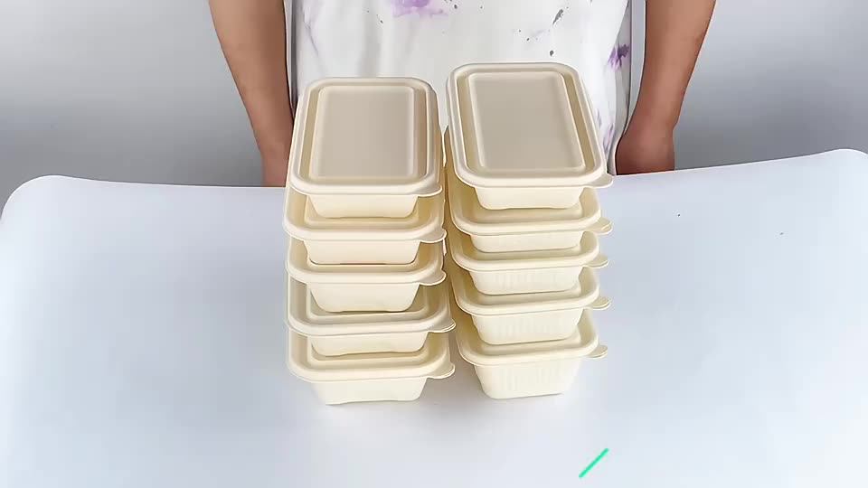 2 Compartment Packaging Bio Degradable Cornstarch Lunch Box With Lid ...