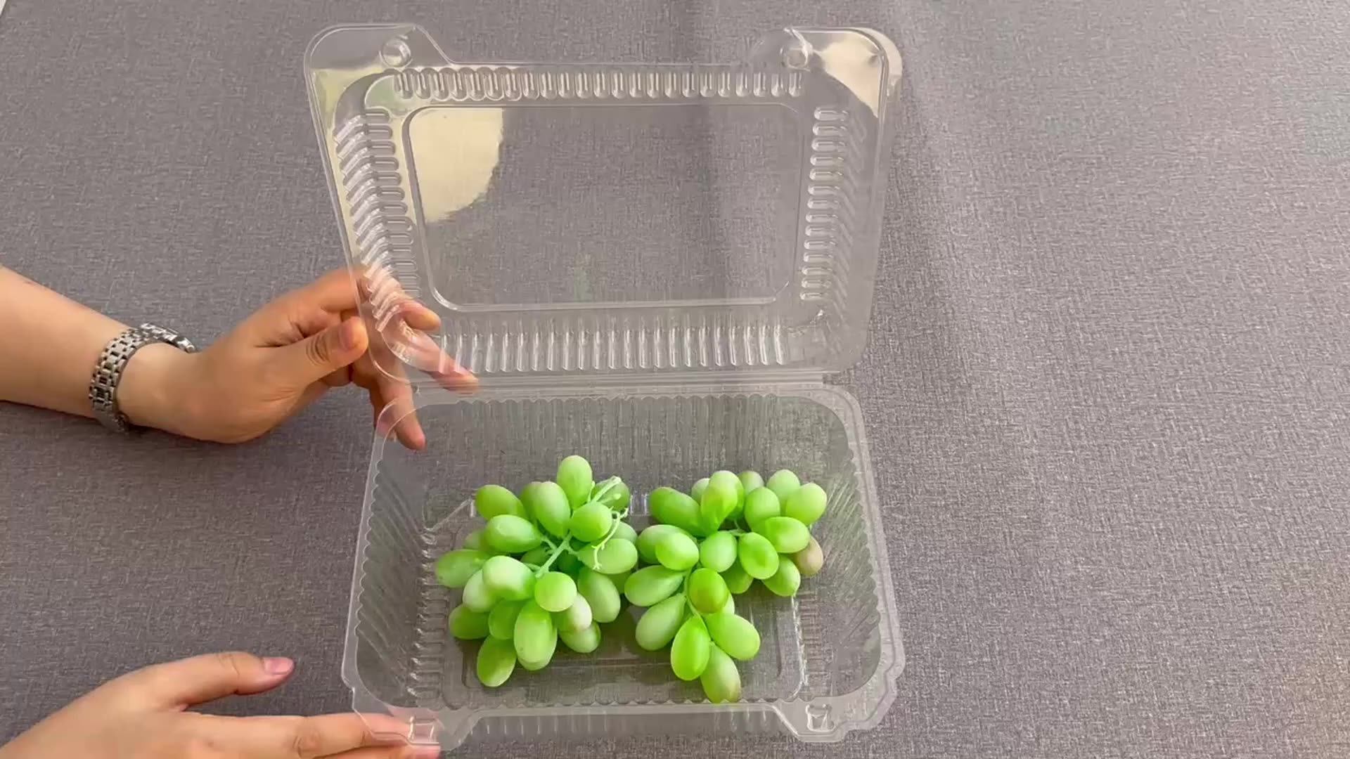 Disposable Transparent Plastic Packaging Box With Cover Disposable ...