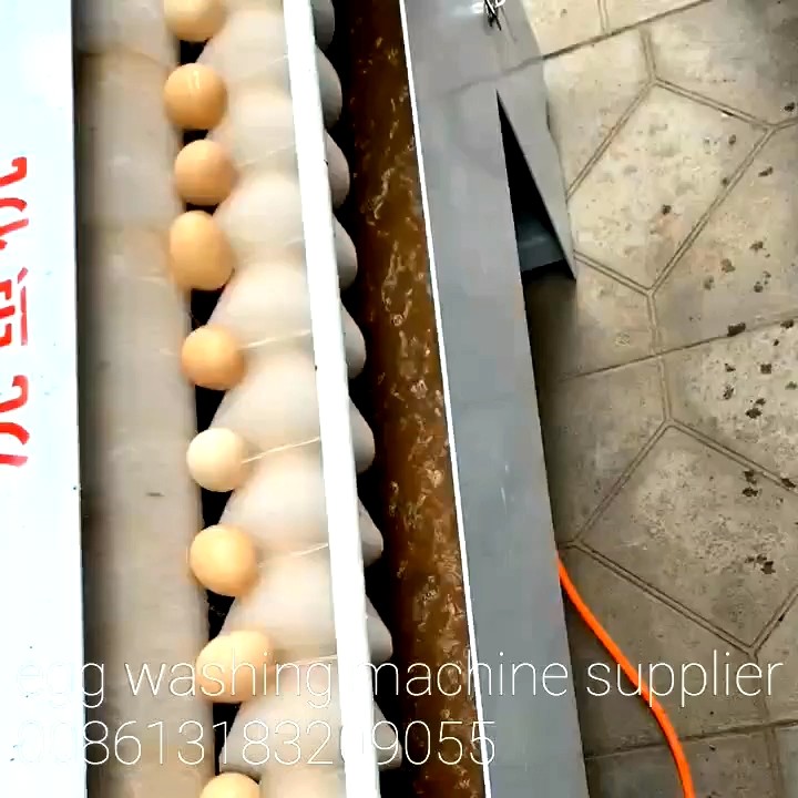Cleaner Washer Cleaning Machine For Egg Commercial For Egg Clean ...