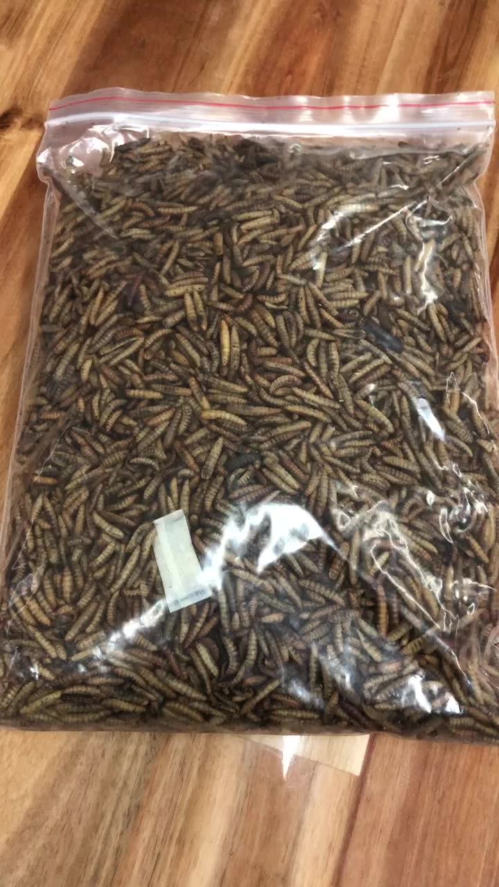 Factory Supply Dried Black Soldier Fly Larvae With High Quality And ...