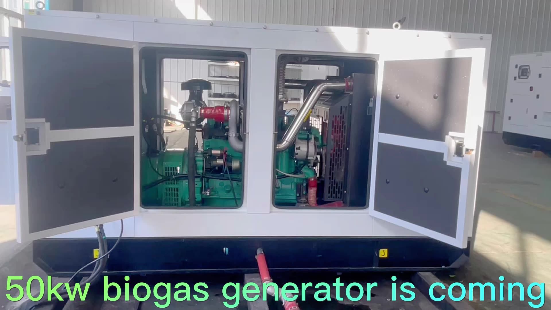 Container Cogeneration With Chp System - Buy Container Cogeneration ...