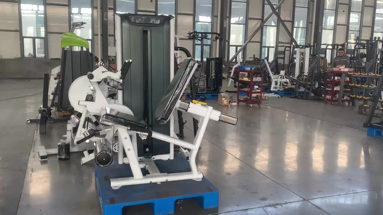 Commercial Seated Biceps Curl Triceps Extension Gym Equipment Biceps Bicep Pin Load Selection ...