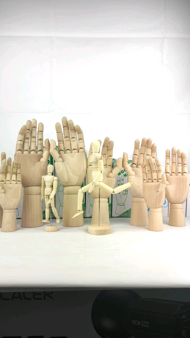 Bqlzr Free Shipping High Quality Unique 8inch Natural Schima Superba ...