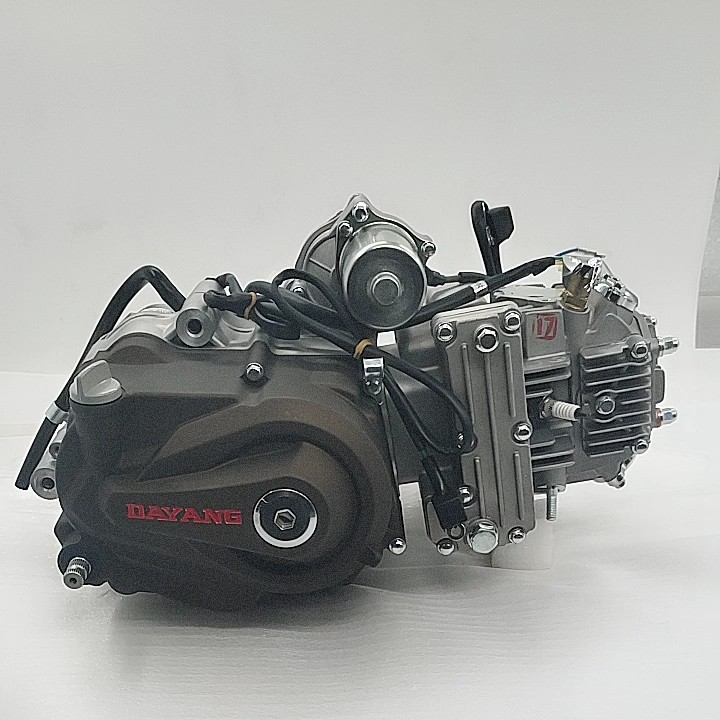 Dayang 140cc Cool Nature Engine Motorcycle Single Cylinder 4 Stroke ...